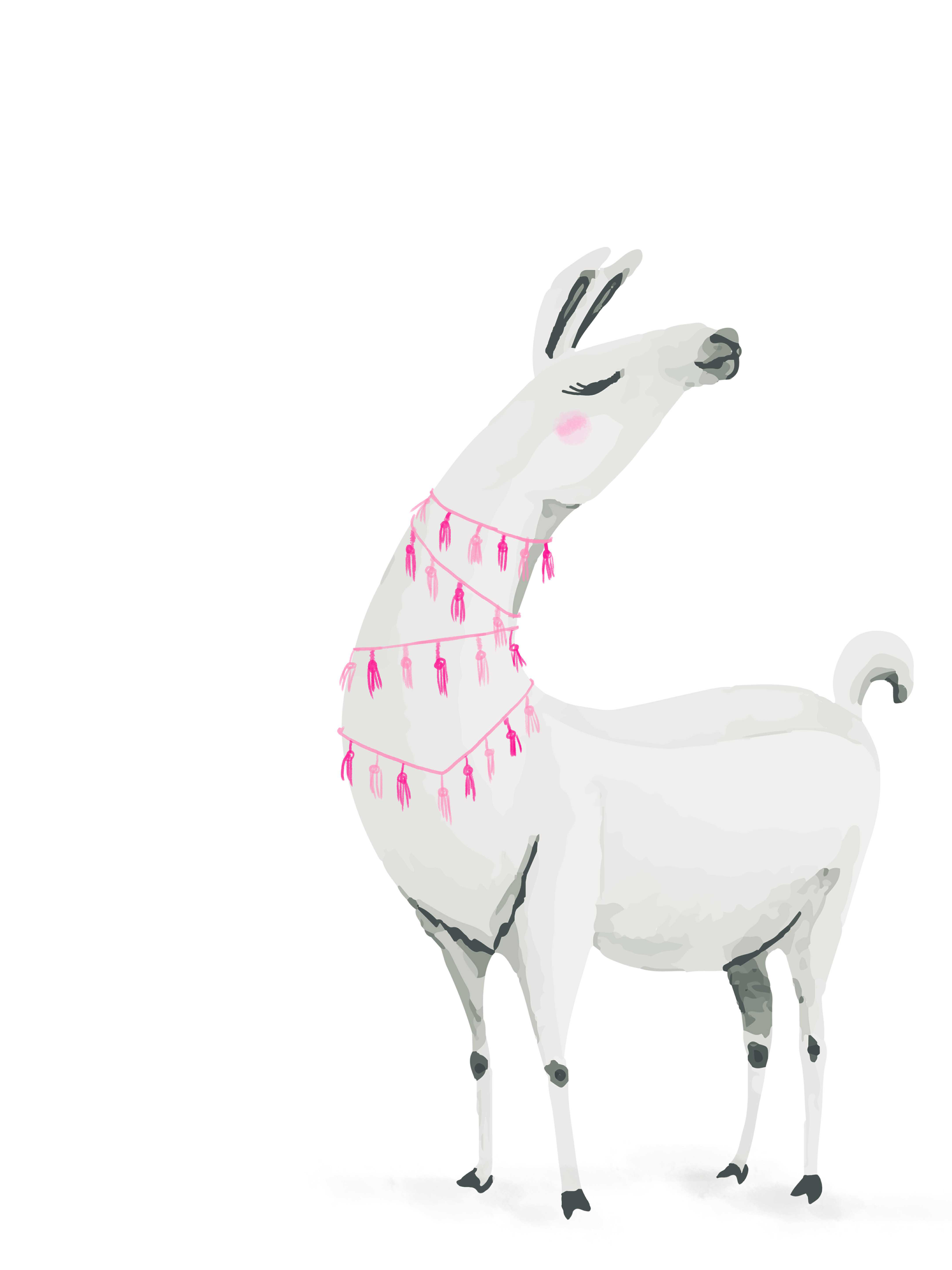 Bungalow Rose Sassy Llama - Wrapped Canvas Print | Wayfair