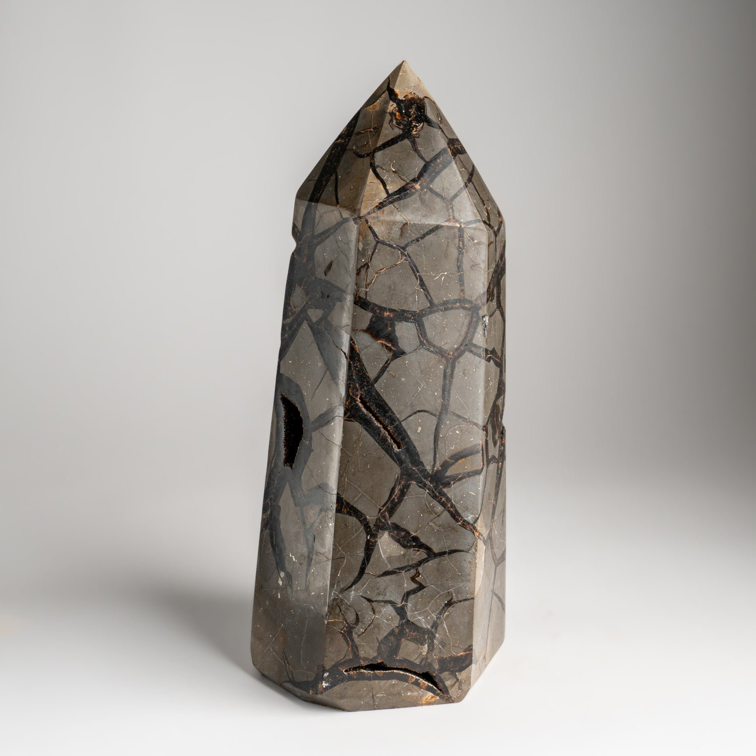 Astro Gallery of Gems Genuine Polished Septarian Druzy Point from ...