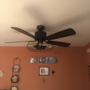 Williston Forge 52'' Lauder 5 - Blade Caged Ceiling Fan with Remote ...