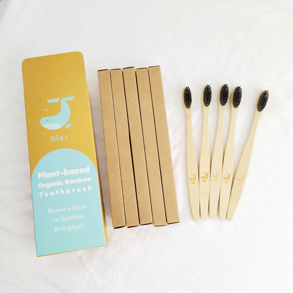 Blar Biodegradable Toothbrush Holder & Reviews | Wayfair
