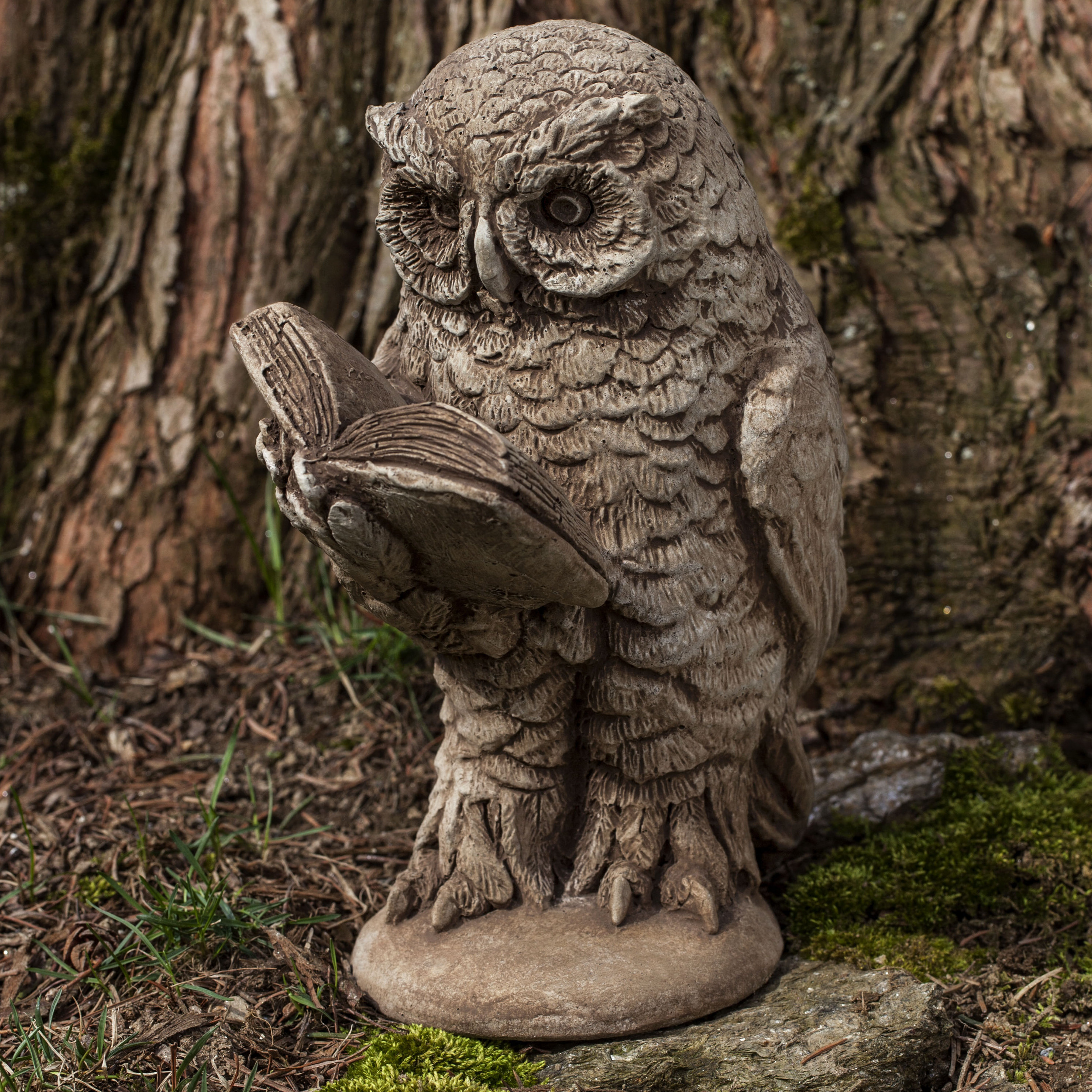 Campania International, Inc Scholarly Owl Statue & Reviews | Wayfair