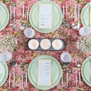 EcoQuality Disposable Round Plastic Plates Edge Collection 20 Guests ...