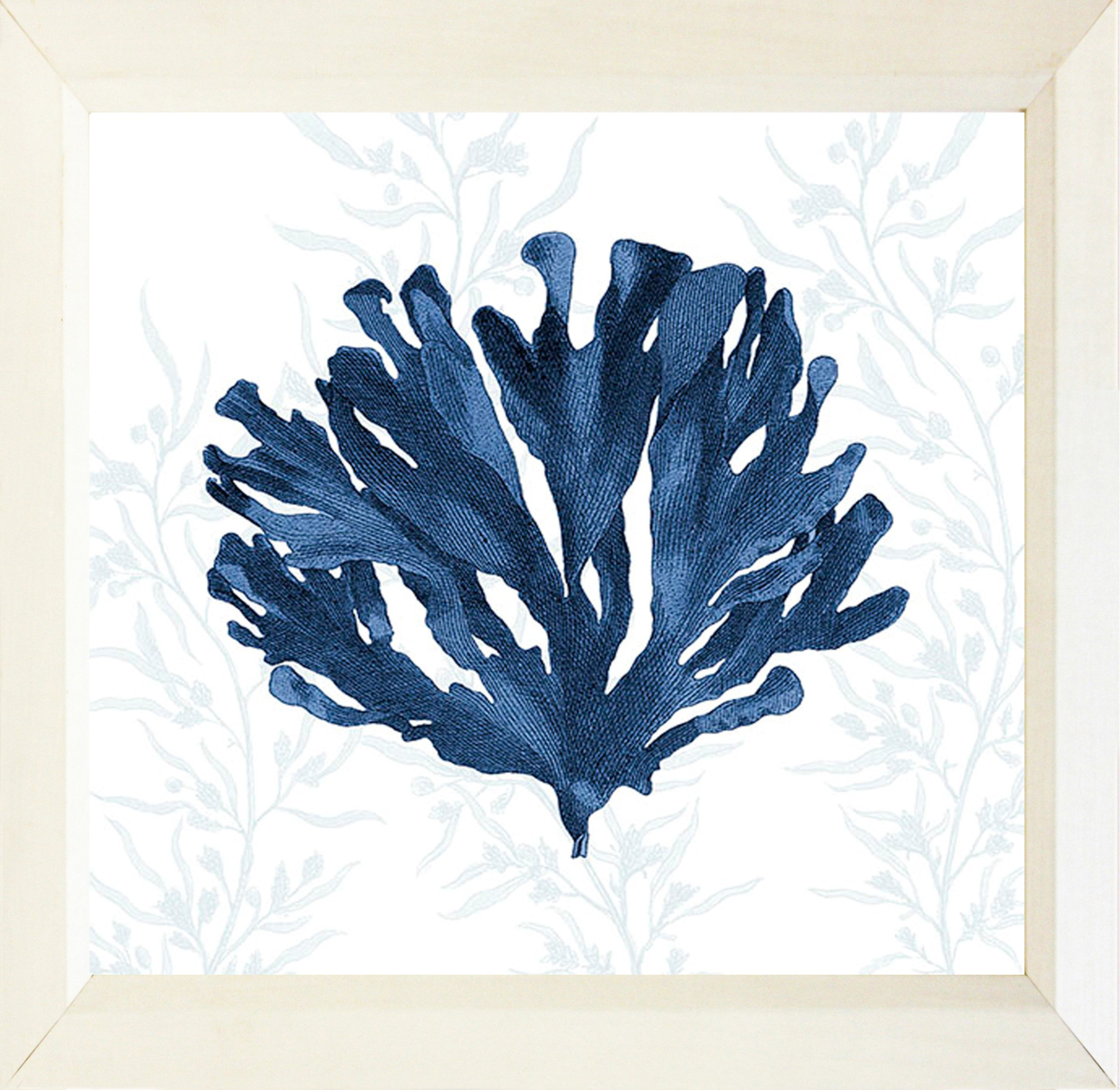 Highland Dunes Decorative Navy Coral II by Stacey Powell - Picture ...