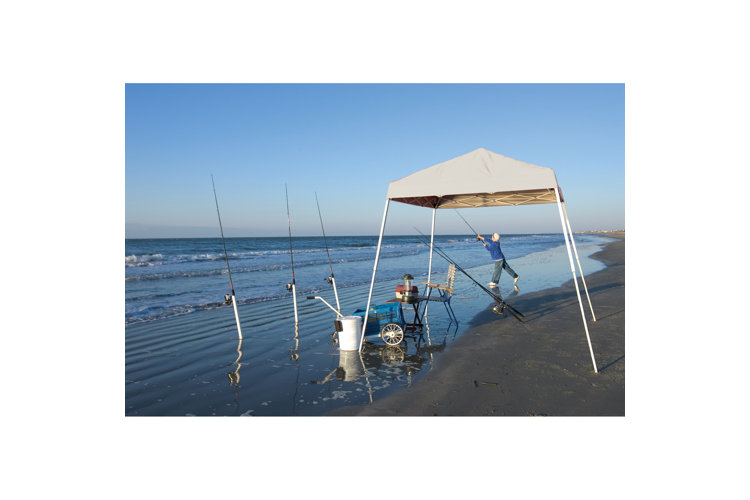 Canopy Buying Guide | Wayfair