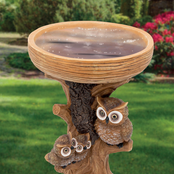 GardenKraft Owl Bird Bath | Wayfair.co.uk