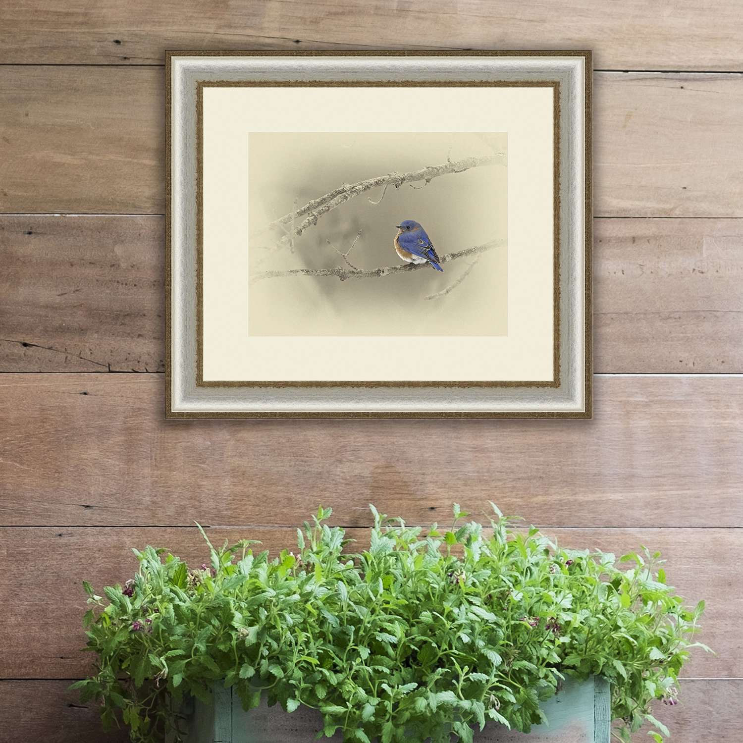 Charlton Home® Blue Bird - Picture Frame Photograph | Wayfair