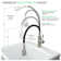 Transolid PF7509A-FLX Kitchen/Laundry Faucet With Swivel Action Ball ...