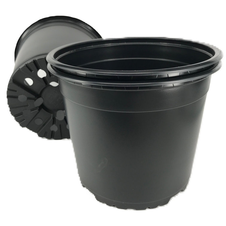 Dakota Fields 100 X Nutley''s 17Cm Black Round Modiform 2 Litre Plastic ...