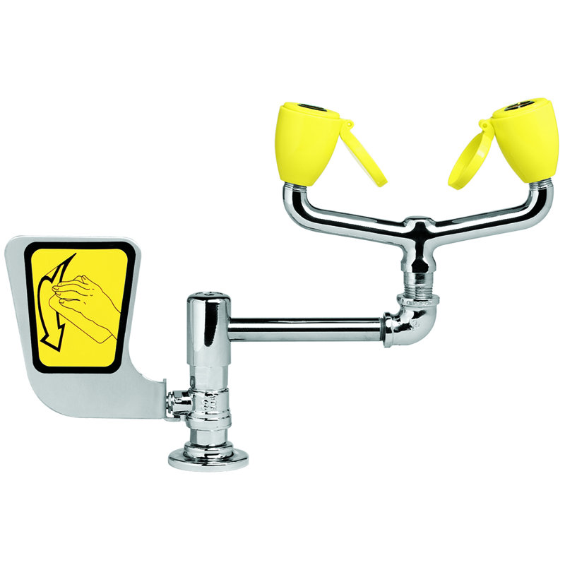 Speakman Emergency Laboratory Eye Wash - Wayfair Canada