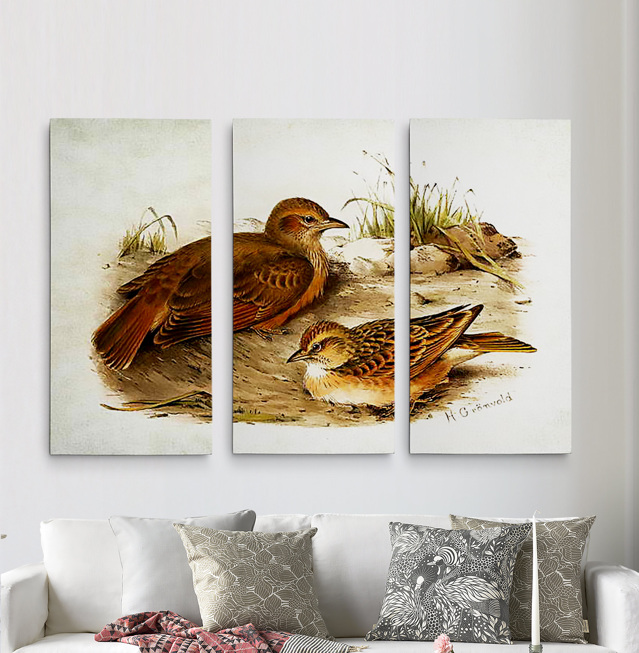 Charlton Home® Aviary Drawing I - 3 Piece Graphic Art on Canvas | Wayfair
