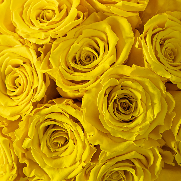 Fiorebela Citron Roses Floral Arrangement in Vase | Wayfair