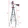 August Grove® Haghni Windmill & Reviews | Wayfair