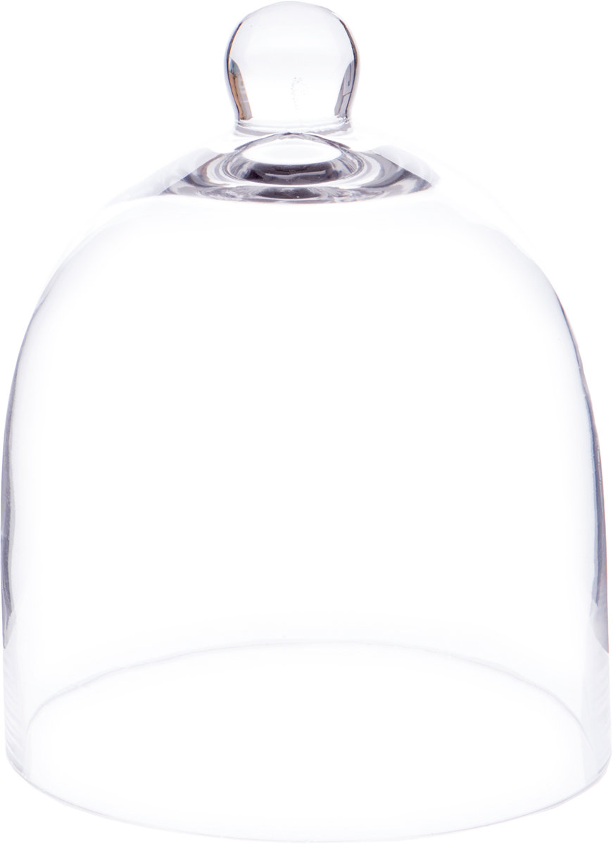 Latitude Run® Bettzy Display Dome Cloche | Wayfair
