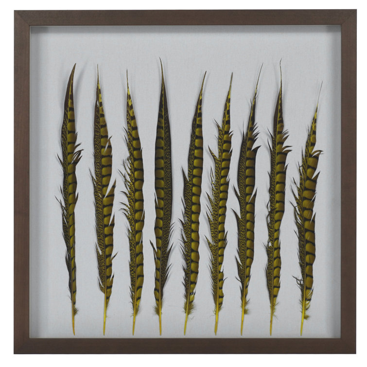 Red Barrel Studio® Pheasant Feather Shadow Box Wall Décor | Wayfair