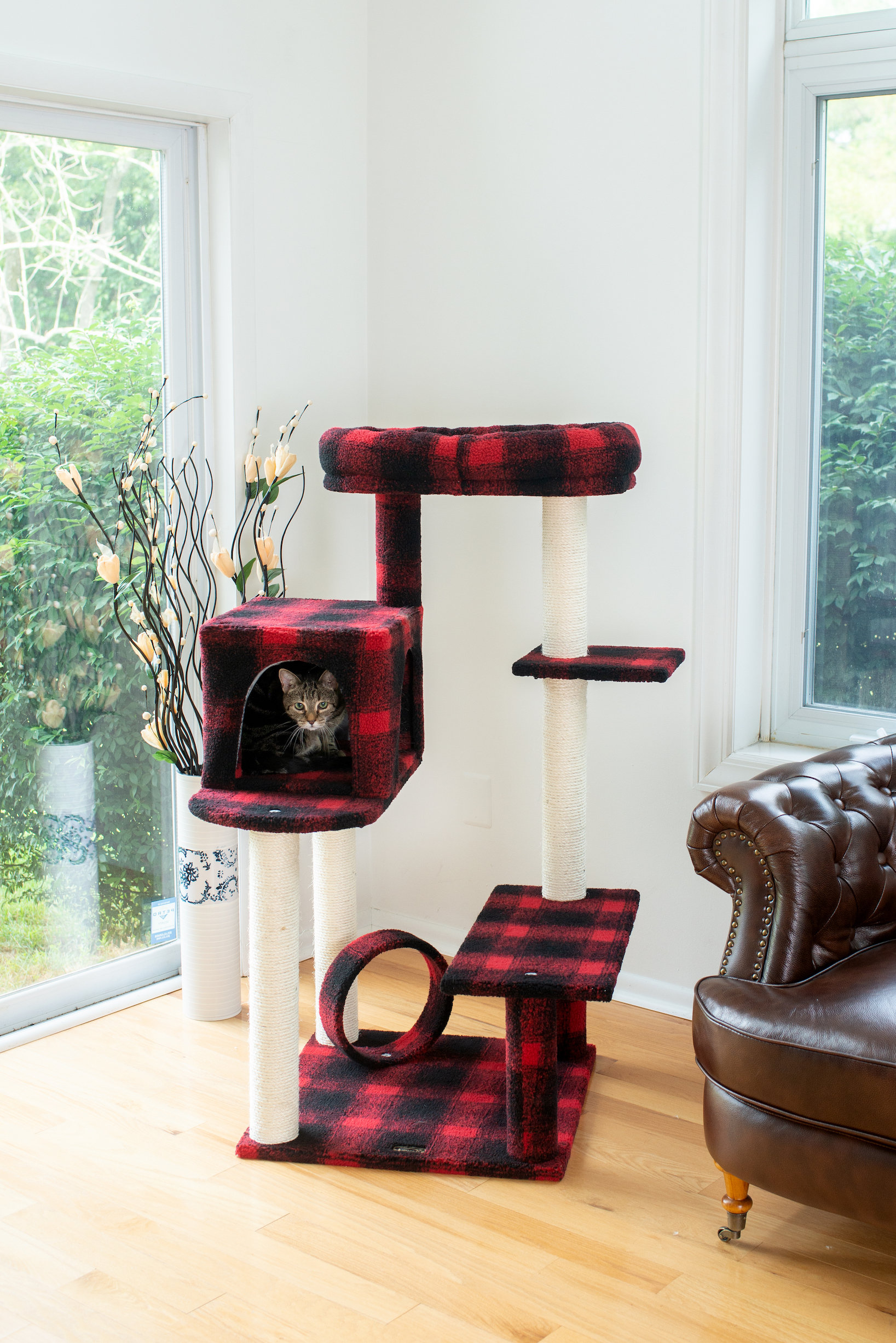 Armarkat 50" Classic Real Wood Cat Tree & Reviews | Wayfair