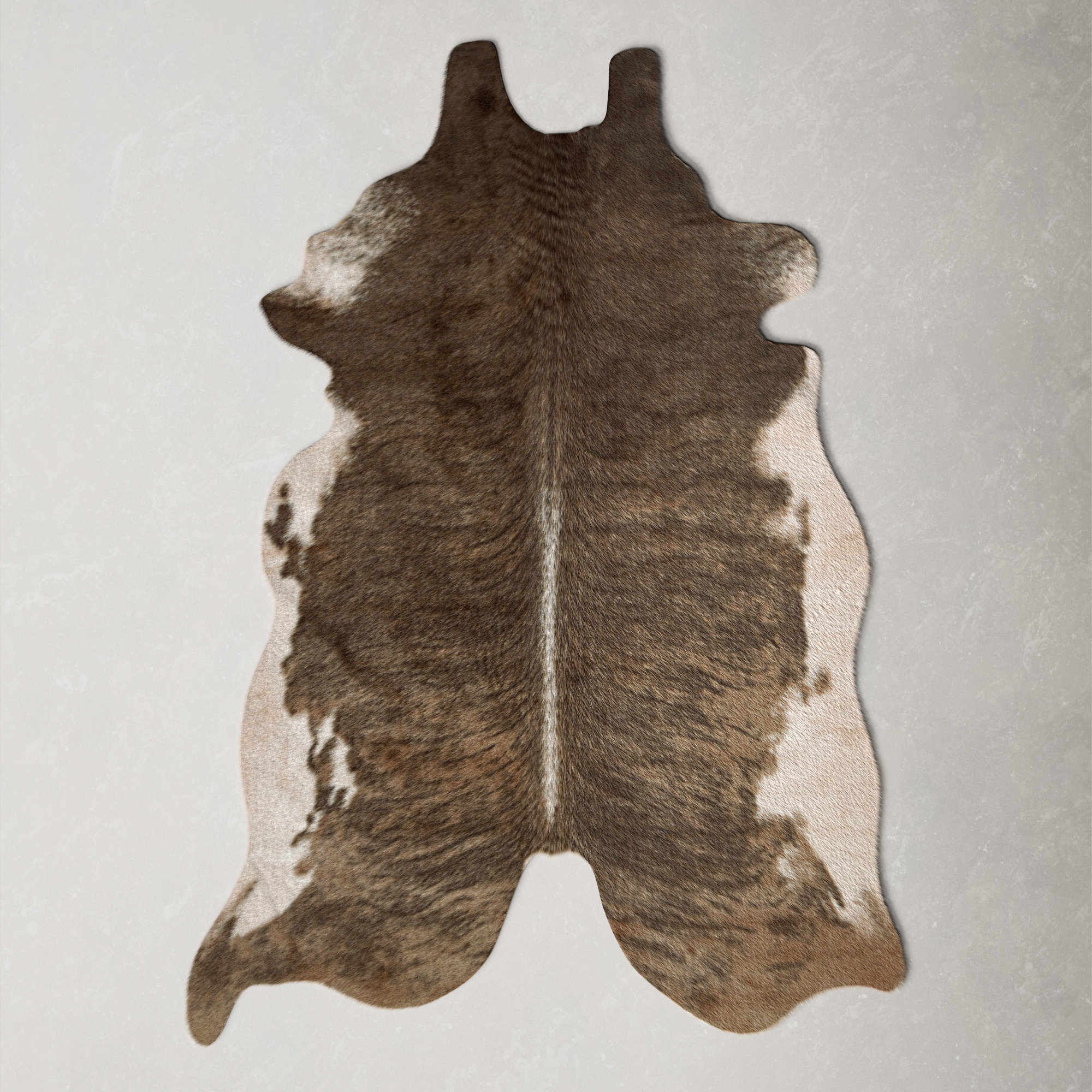 AllModern Herman Abstract Beige/Brown Area Rug & Reviews | Wayfair