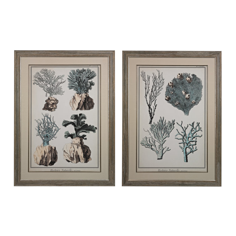 Rosecliff Heights Oversized Coral Species - 2 Piece Picture Frame ...