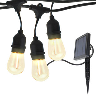 Outdoor String Lights | Wayfair.ca