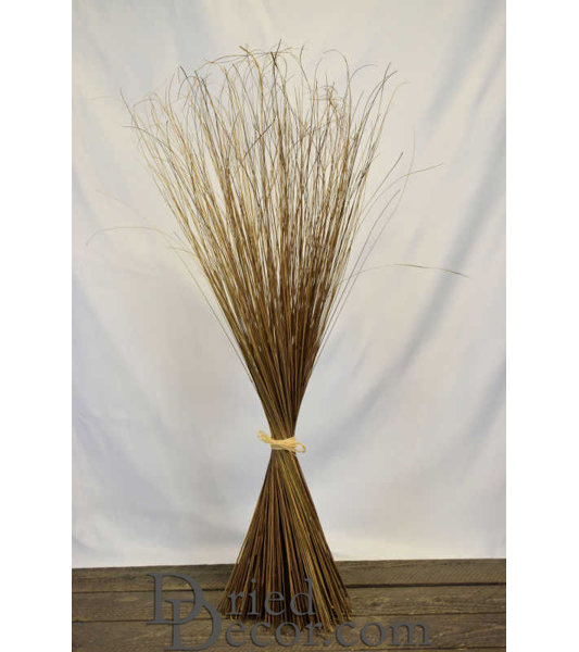 GreenFloralCrafts 38'' Ting Branch | Wayfair