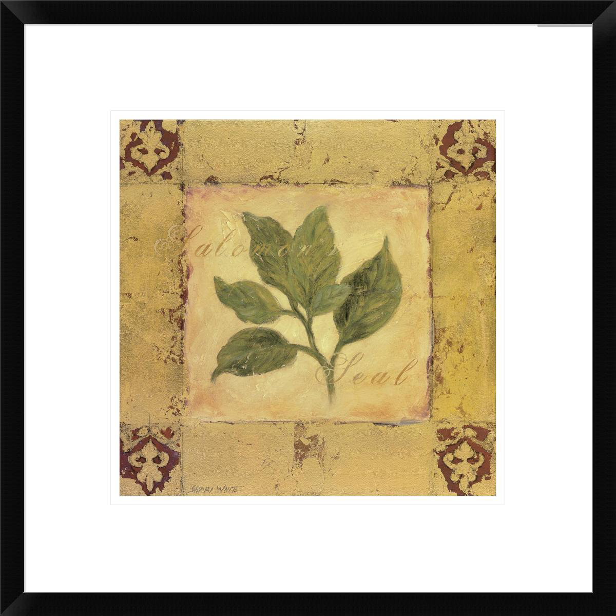 Global Gallery Solomon by Shari White - Picture Frame Print | Wayfair