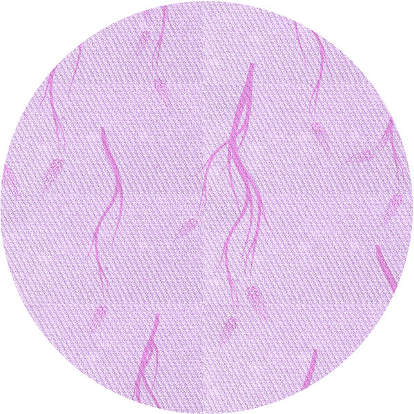 Thistle-area-rug | Wayfair