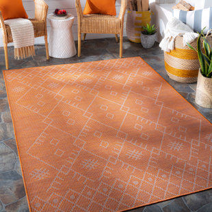Wayfair | Orange Outdoor Rugs You'll Love in 2022