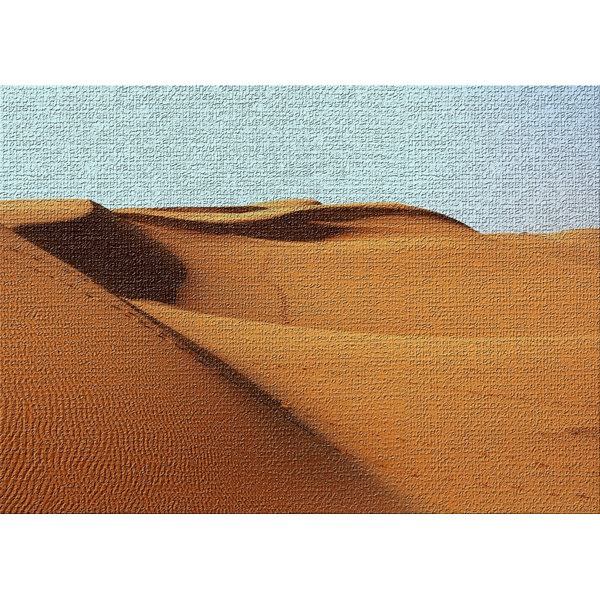Desert-rug | Wayfair