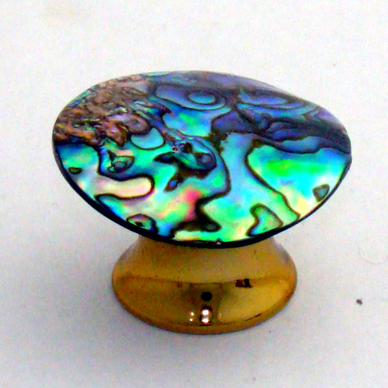Myterra Gemstone Hardware Abalone ShellCabinet Knob On Polished Brass ...