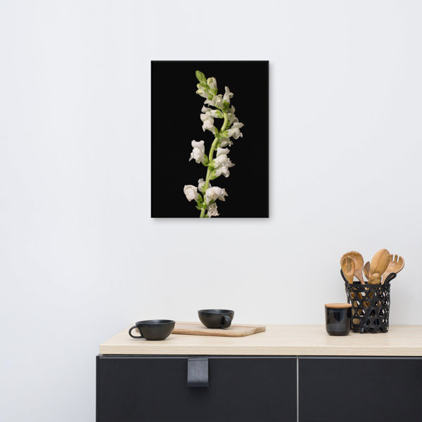 Ebern Designs White Snapdragons Floral - Photograph | Wayfair