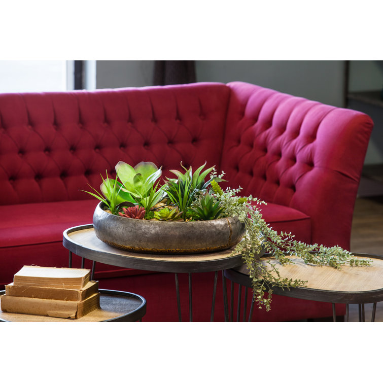 Gracie Oaks Henk Dish Garden Planter | Wayfair