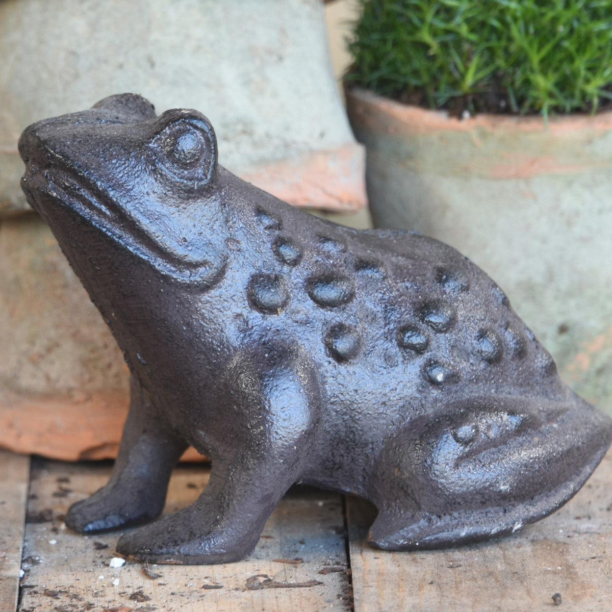 Winston Porter Tieger Garden Frog | Wayfair