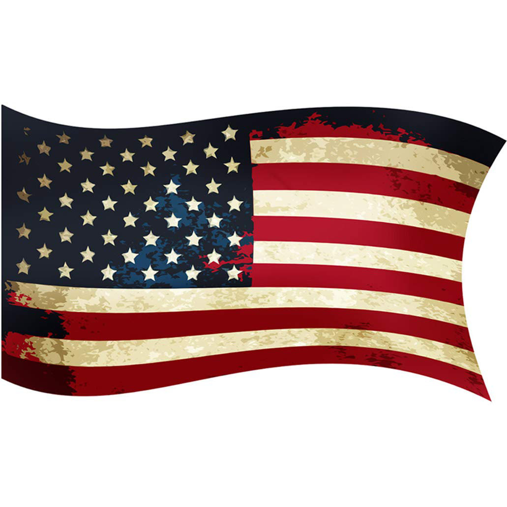 August Grove® US Flag Americana Wall Decal & Reviews | Wayfair