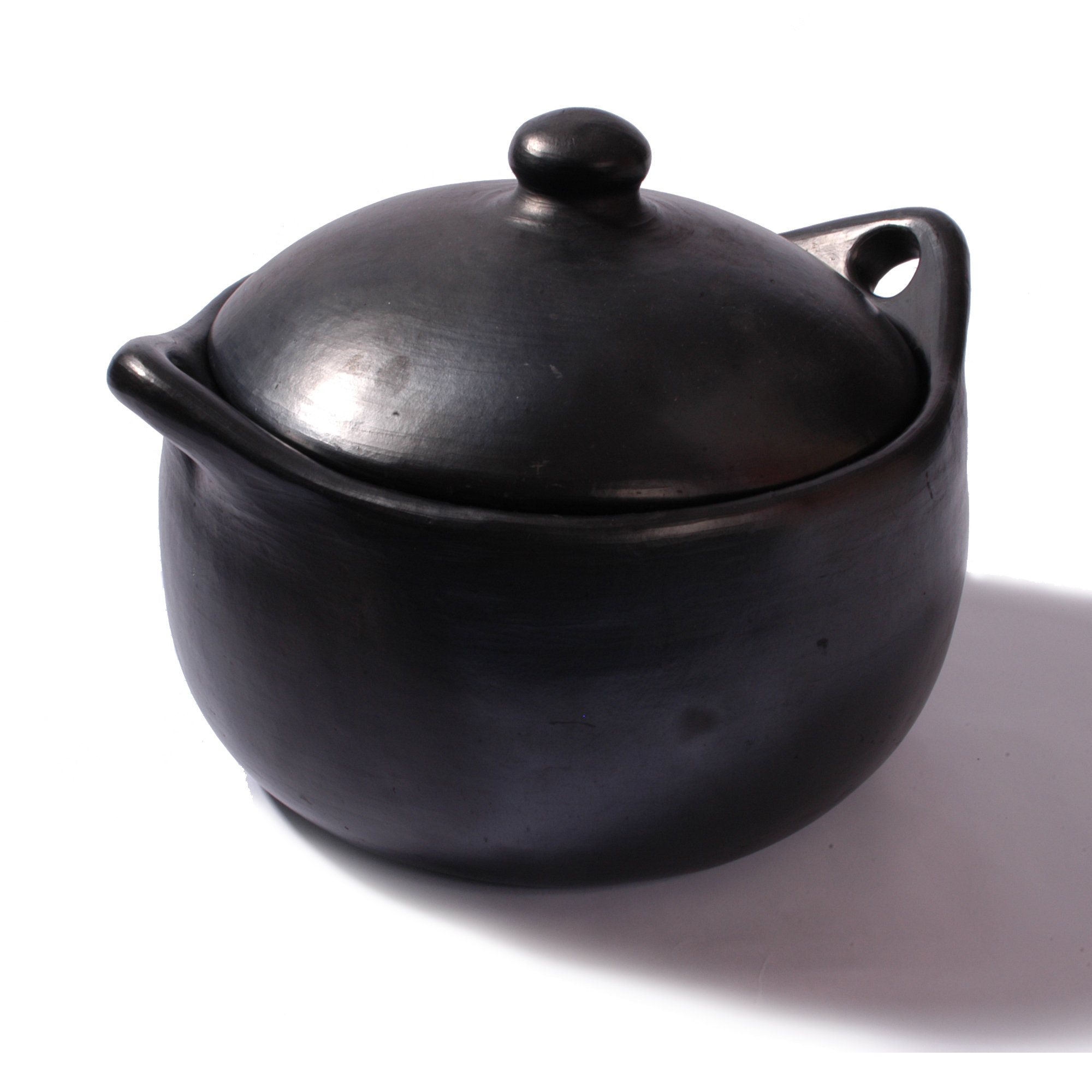Ancient Cookware Enameled Cast Iron Braiser with Lid | Wayfair