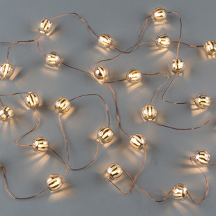 Holiday Lights | Joss & Main