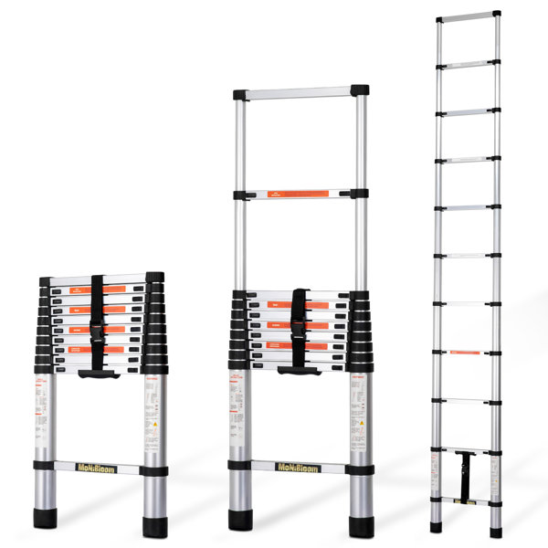 WFX Utility™ Jacksonview 10.6Ft Aluminum Telescoping Ladder, 330lbs ...