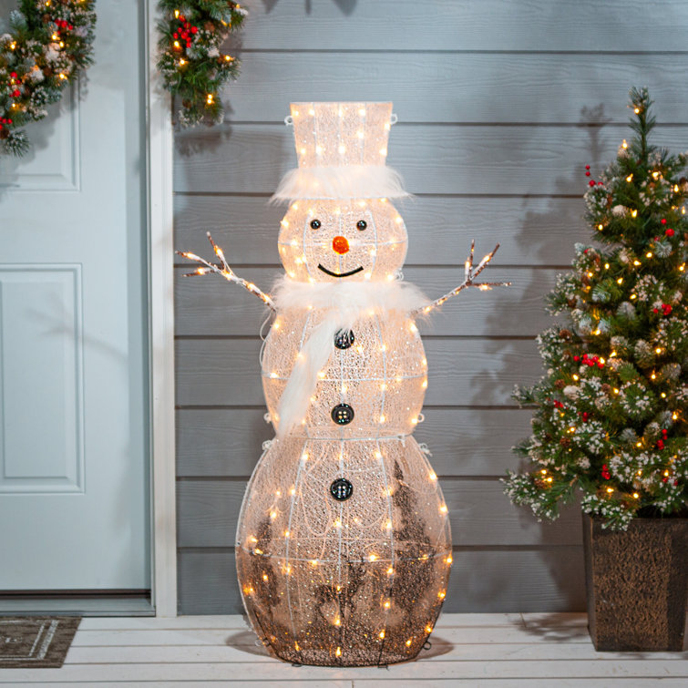 The Holiday Aisle® Lighted Display & Reviews | Wayfair