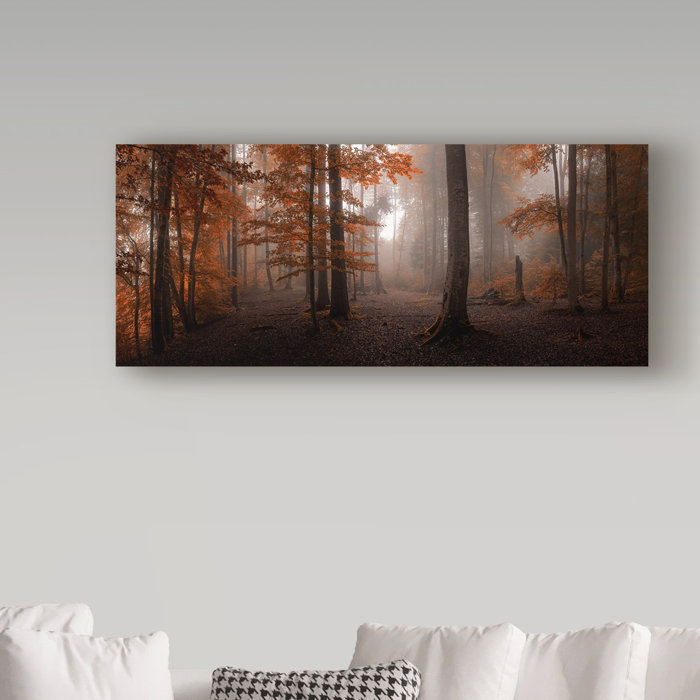 Trademark Art Tom Meier Autumn Orange Trees by Tom Meier - Wrapped ...