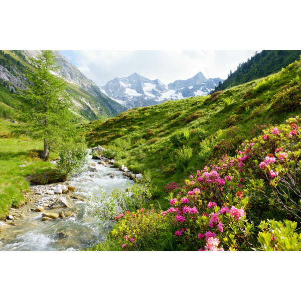 Millwood Pines Mountain River With Alpine Roses In The Alps In Spring ...