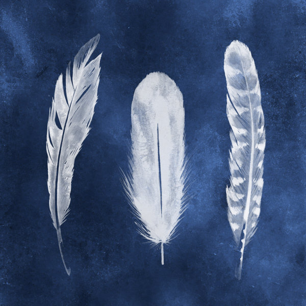 Dakota Fields Cyanotype Feathers I - Wrapped Canvas Print | Wayfair