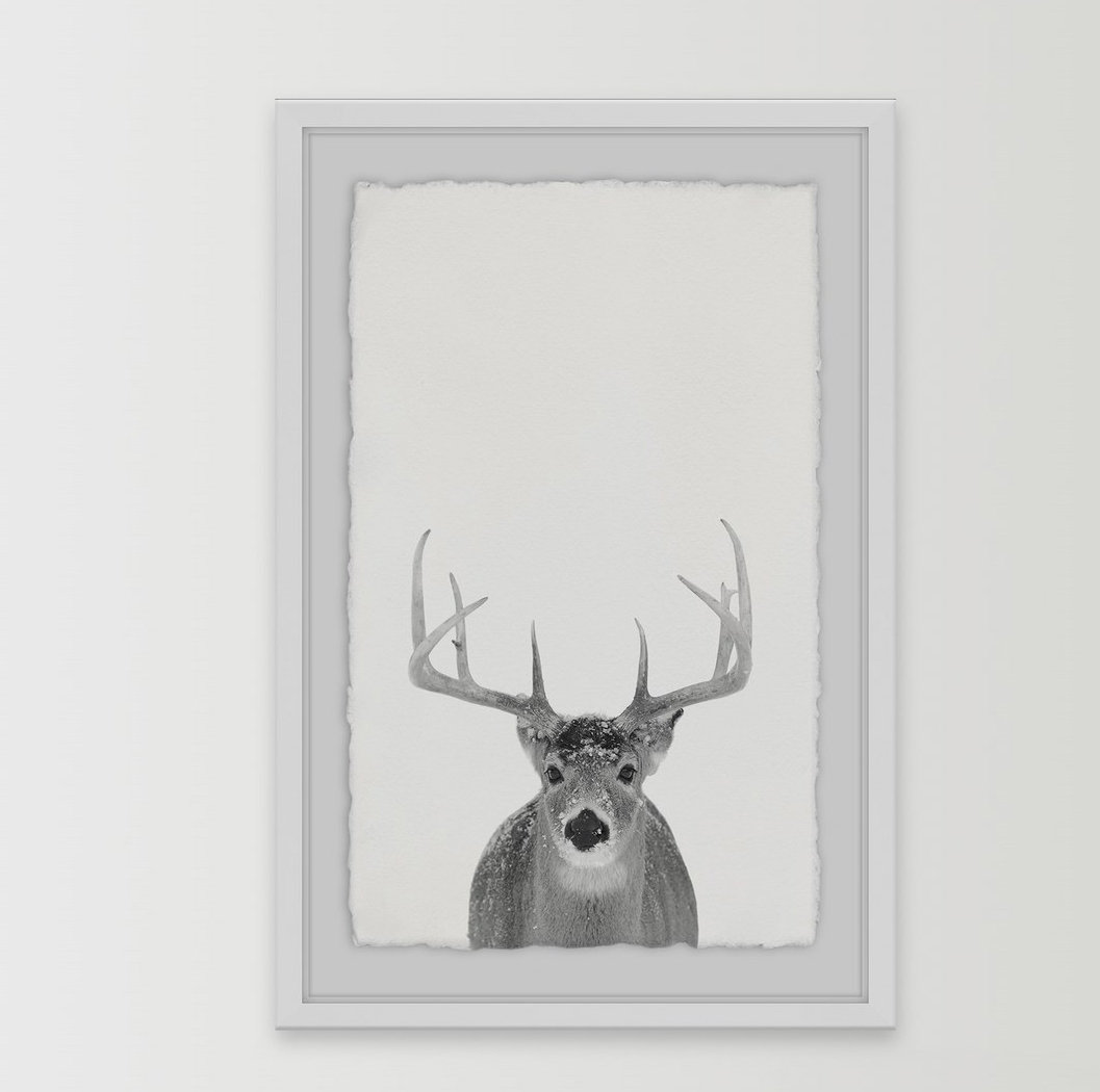 Union Rustic Gray Deer - Picture Frame Photograph | Wayfair