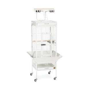 Wayfair | Large Bird Cages
