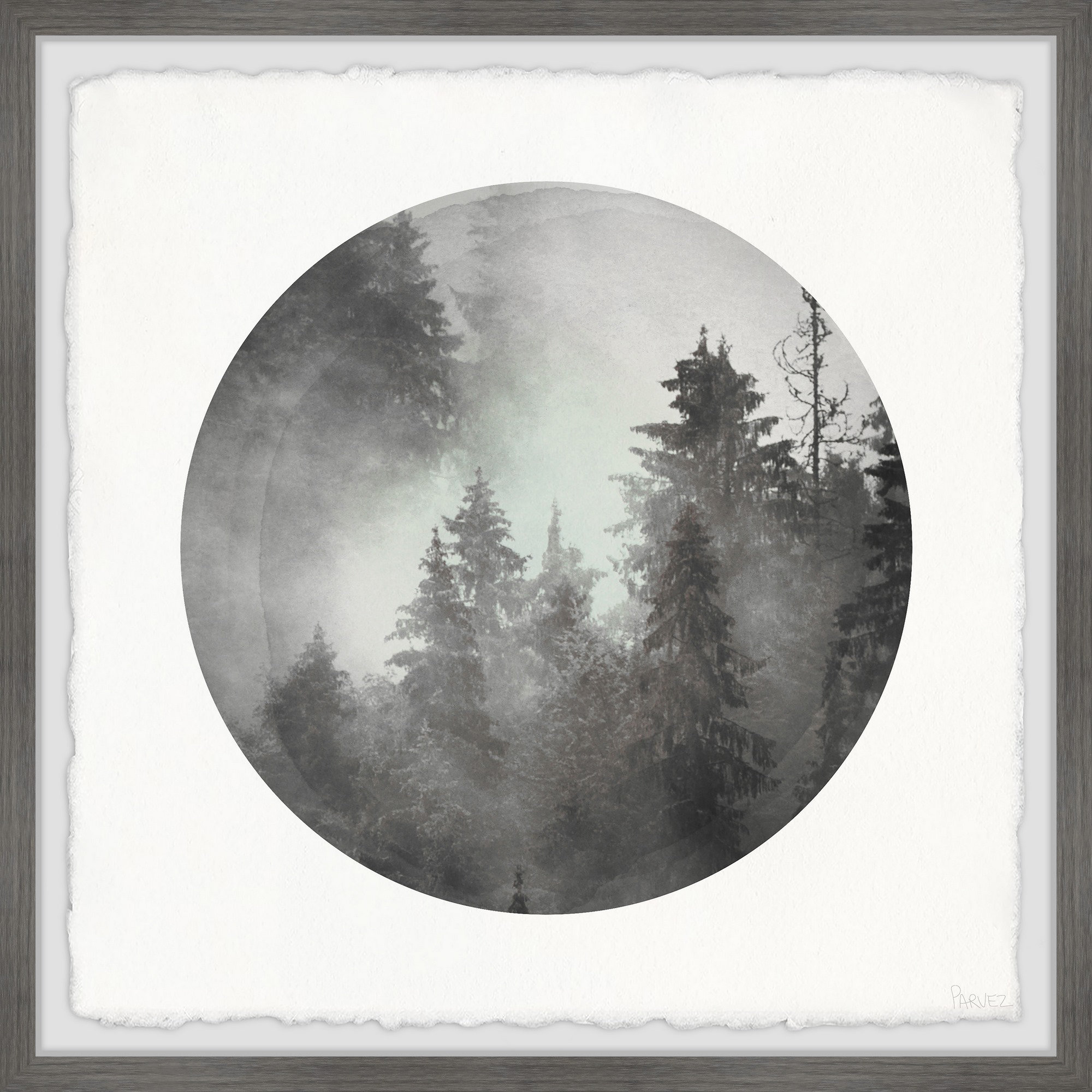 Loon Peak® Dark Foggy Forest by Parvez Taj - Picture Frame Photograph ...