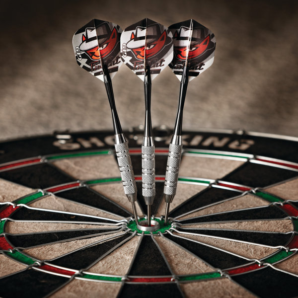 Fat Cat Darts in a Jar Steel Tip Dart & Reviews | Wayfair