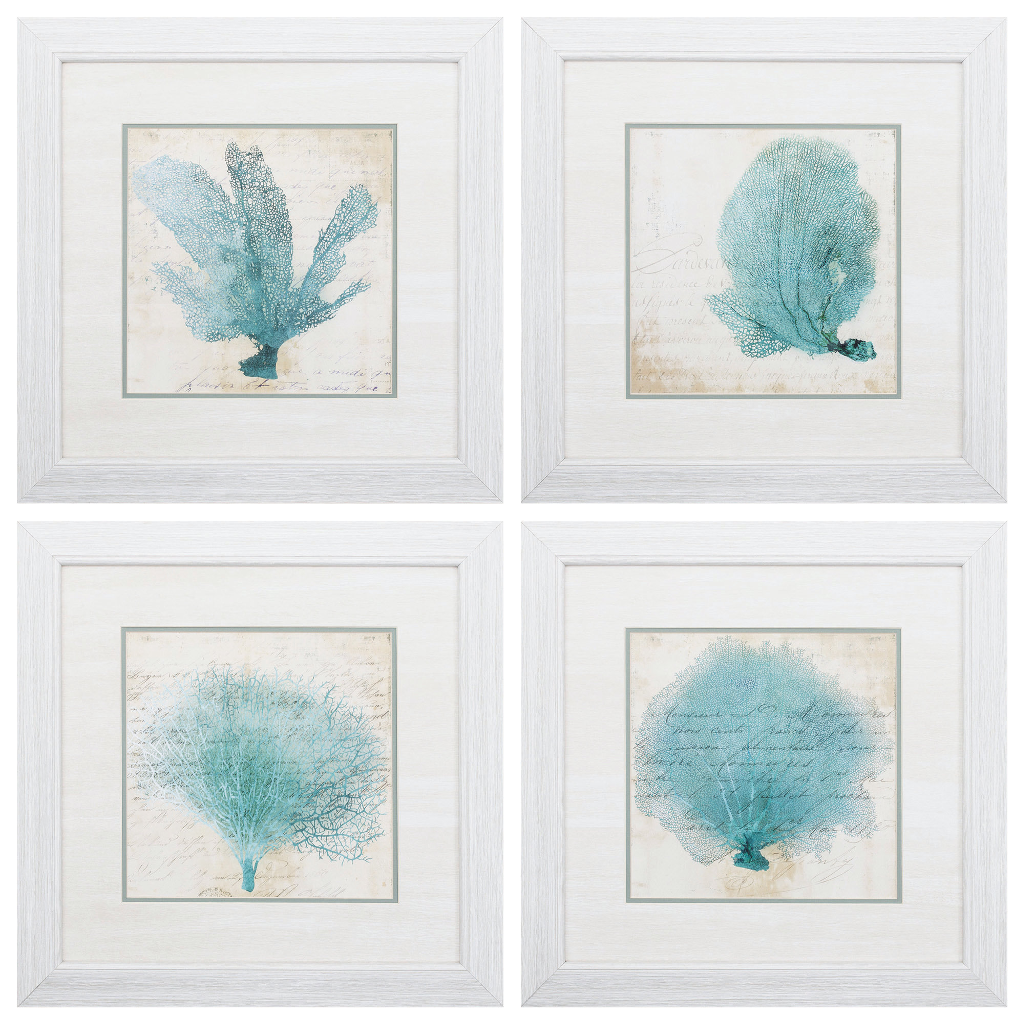 Highland Dunes Blue Coral - 4 Piece Single Picture Frame Print | Wayfair
