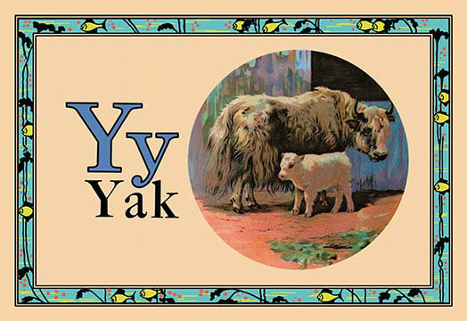 Kiyaks | Wayfair