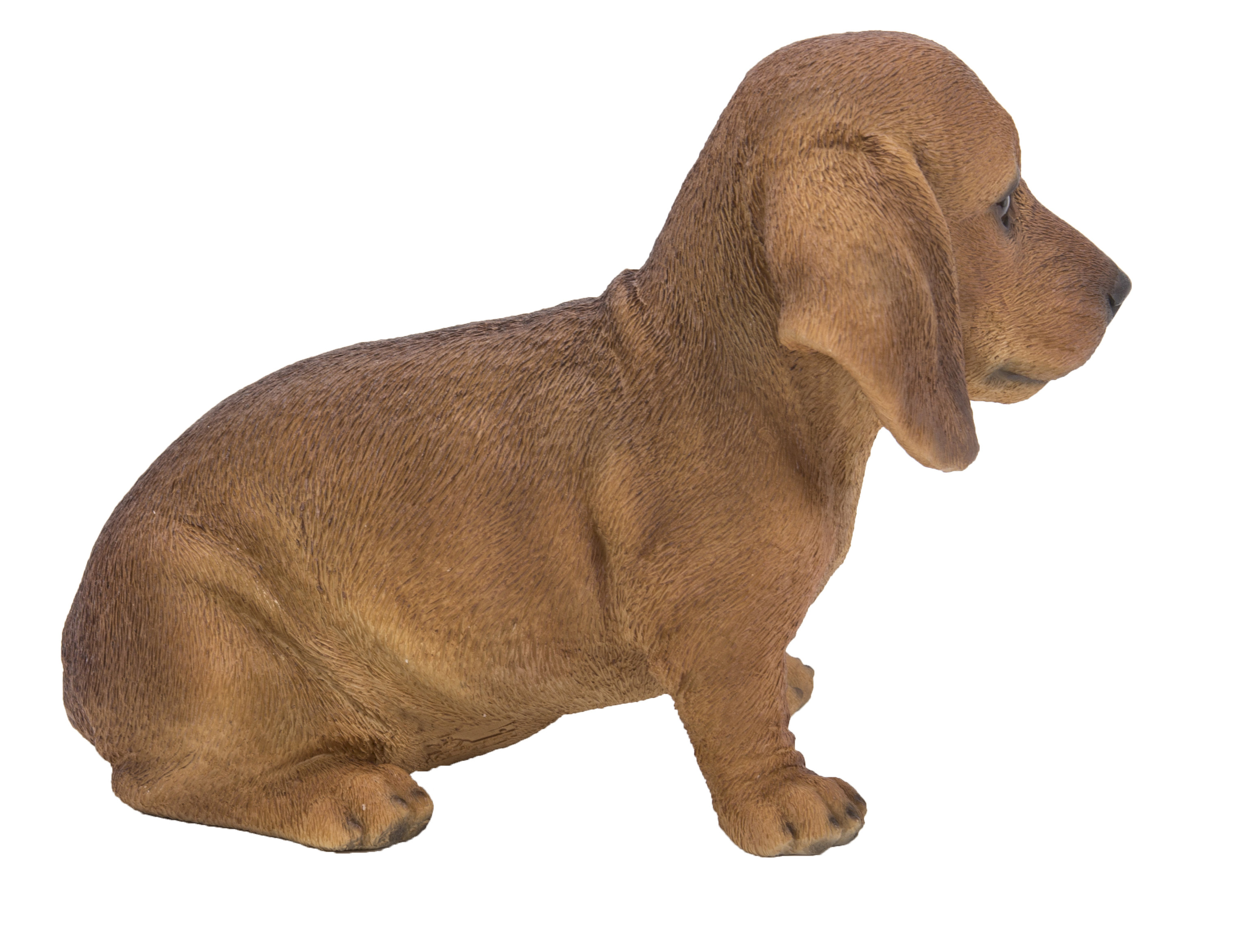 Hi-Line Gift Ltd. Dachshund Sitting Statue & Reviews | Wayfair