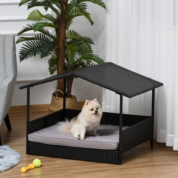 Tucker Murphy Pet™ Anja Cat Perch & Reviews | Wayfair