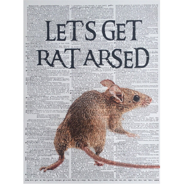 Maturi A3 Get Rat Arsed Dictionary Print - Humour Wall Art - Funny ...