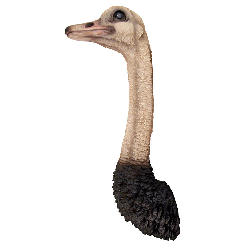 Design Toscano Ostrich Bird Trophy Wall Décor & Reviews | Wayfair