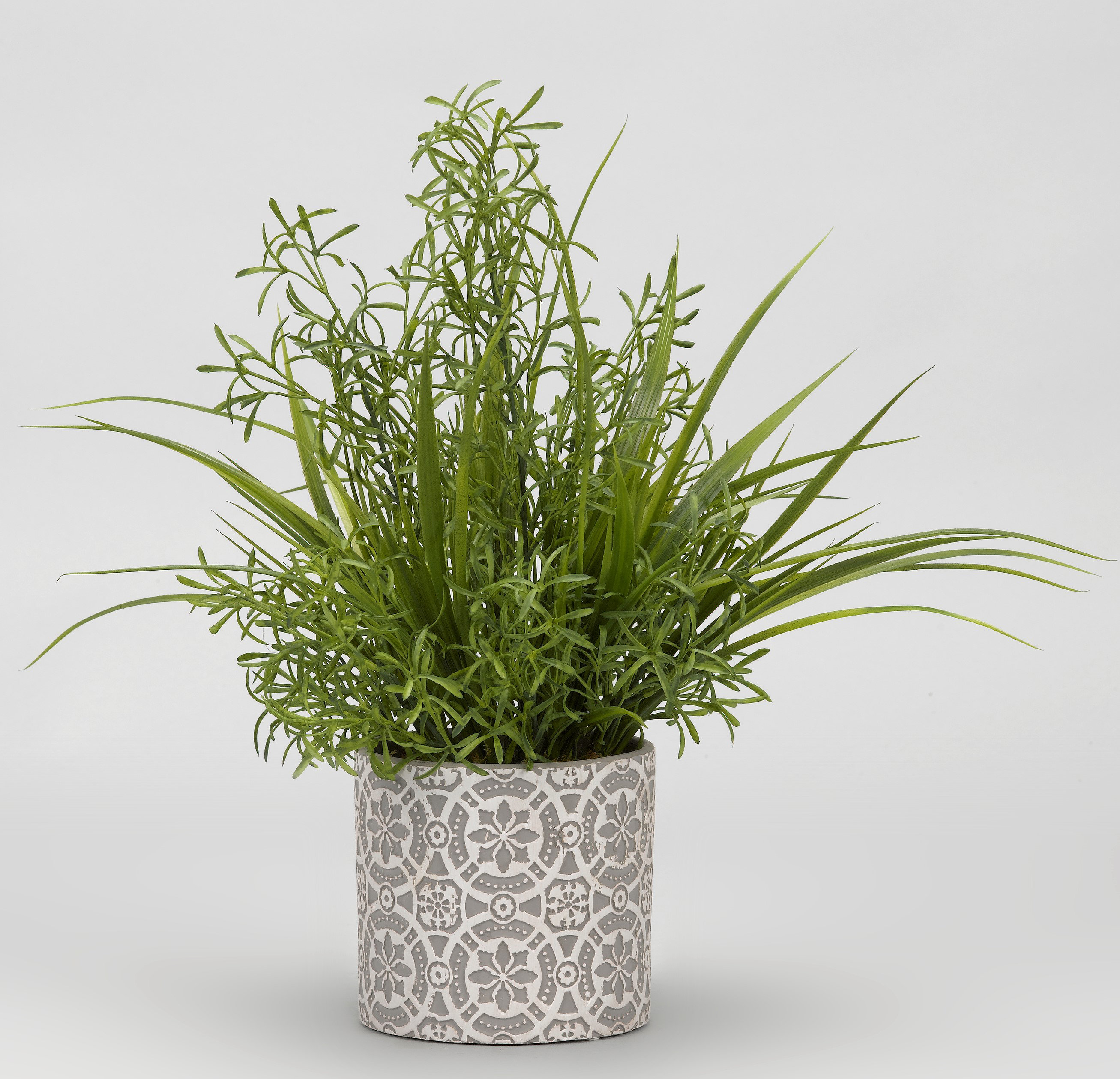 Gracie Oaks 17'' Ficus Grass | Wayfair